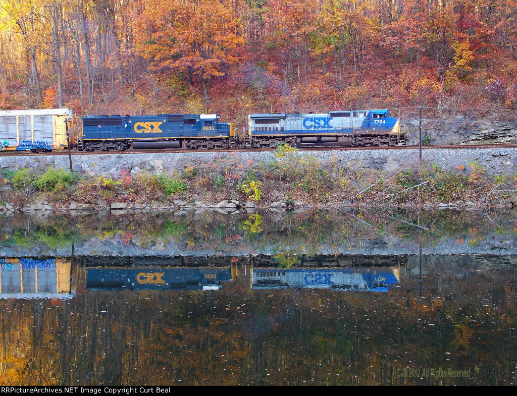 CSX 7794 and 8635 (3)